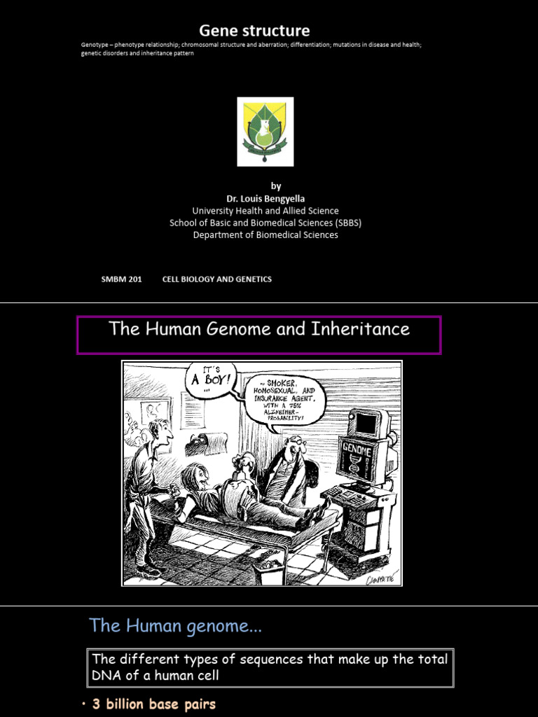 10 Gene Structure Pdf Gene Genetics