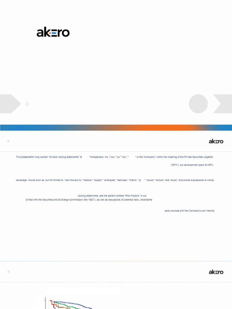 AKRO-SYMMETRY 96 Presentation - Final | PDF | Risk | Form 10 K