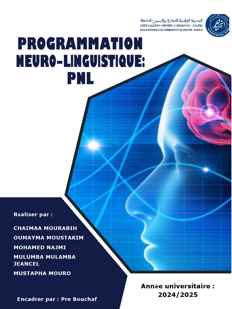 PNL : Techniques et Applications Pratiques | PDF | Programmation neuro ...