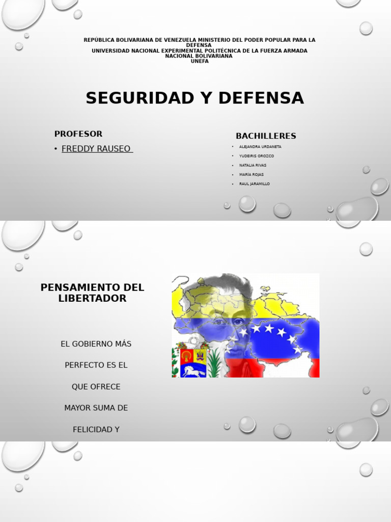 Defensa Integral | PDF