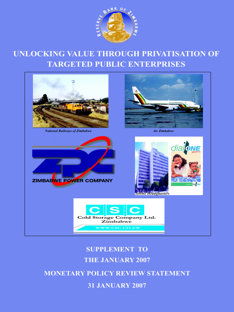 public-enterprises | PDF | Privatization | State Owned Enterprise