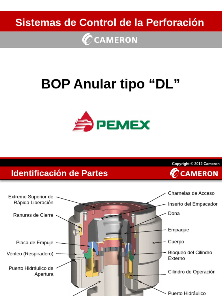 08 DL Annular (Spanish version) | PDF | Presión | Tornillo