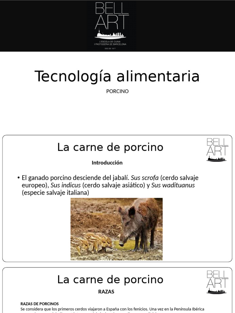 Guía Completa de la Carne de Cerdo | PDF | Carne | Cerdo