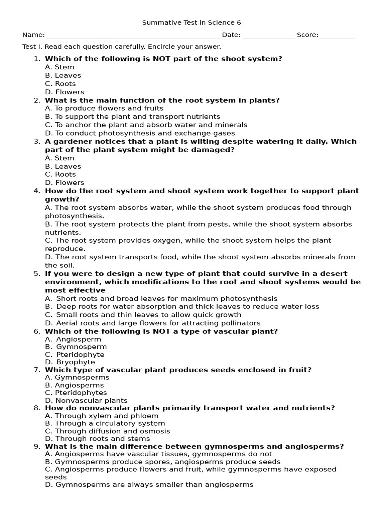 Science 6 Plant Systems Test | PDF | Plants | Leaf