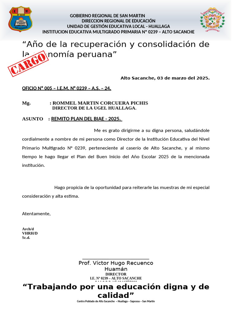 Plan BIAE 2025 - 0239 | PDF | Educación primaria | Educación de la ...