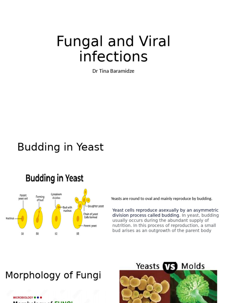 Fungal and Viral Infections | PDF | Candidiasis | Fungus