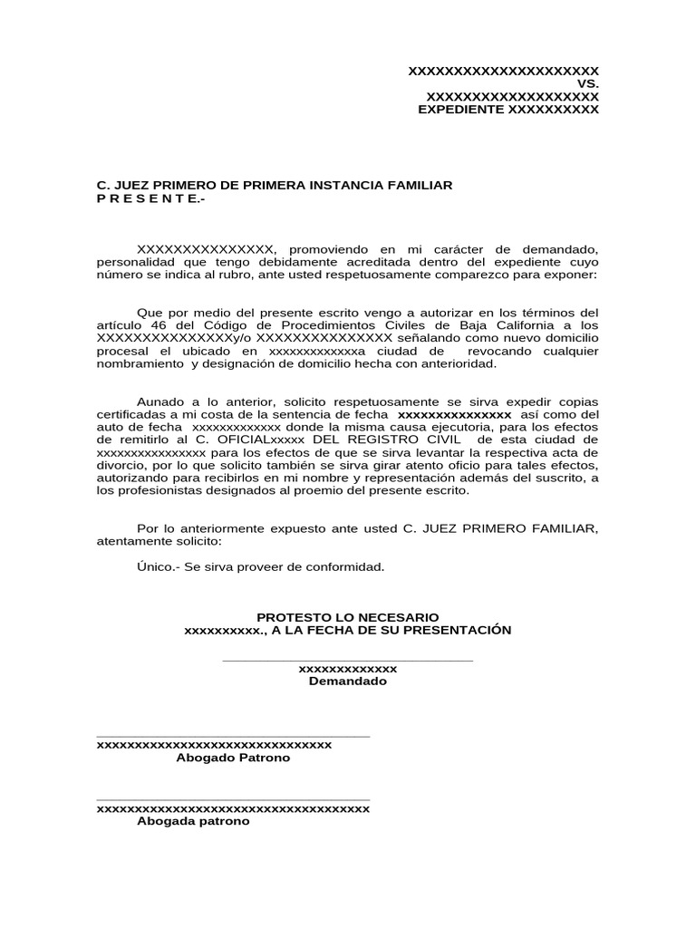 Solicitud Copias Simples | PDF