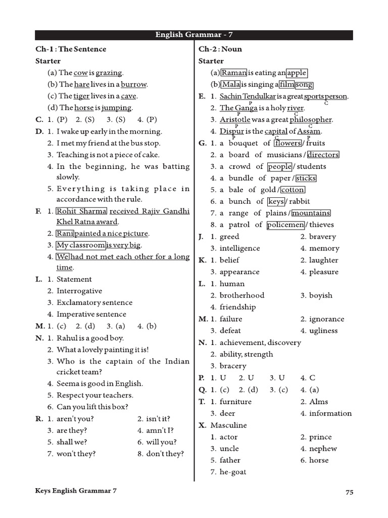 Manakel - English Grammer Key - 7 | PDF