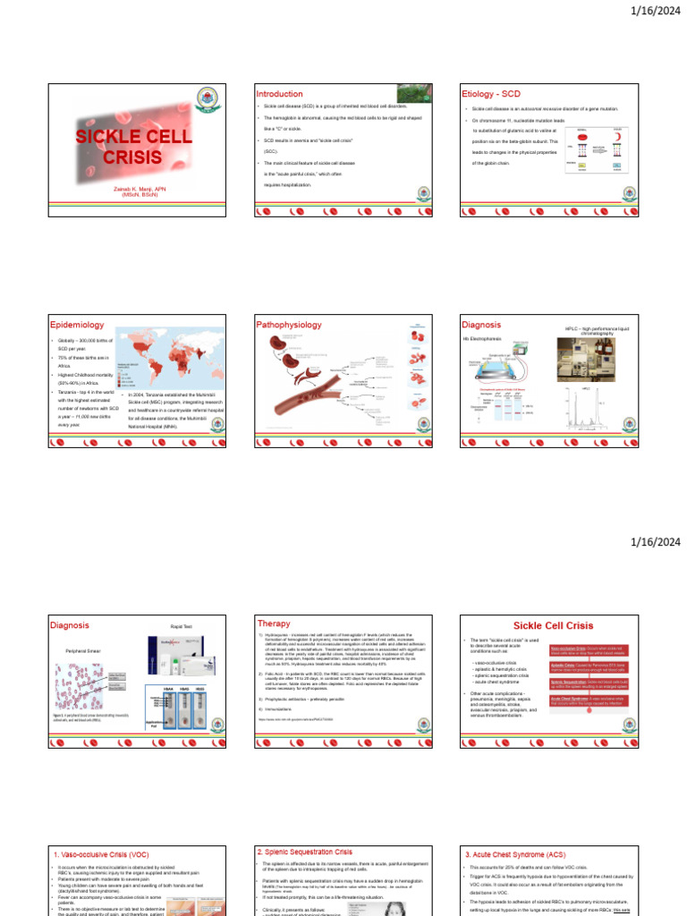 Sickle Cell Crisis - 2024 - Handout | PDF | Medical Specialties ...