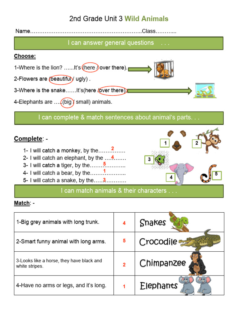 2nd Grade Unit 3: Wild Animals | PDF