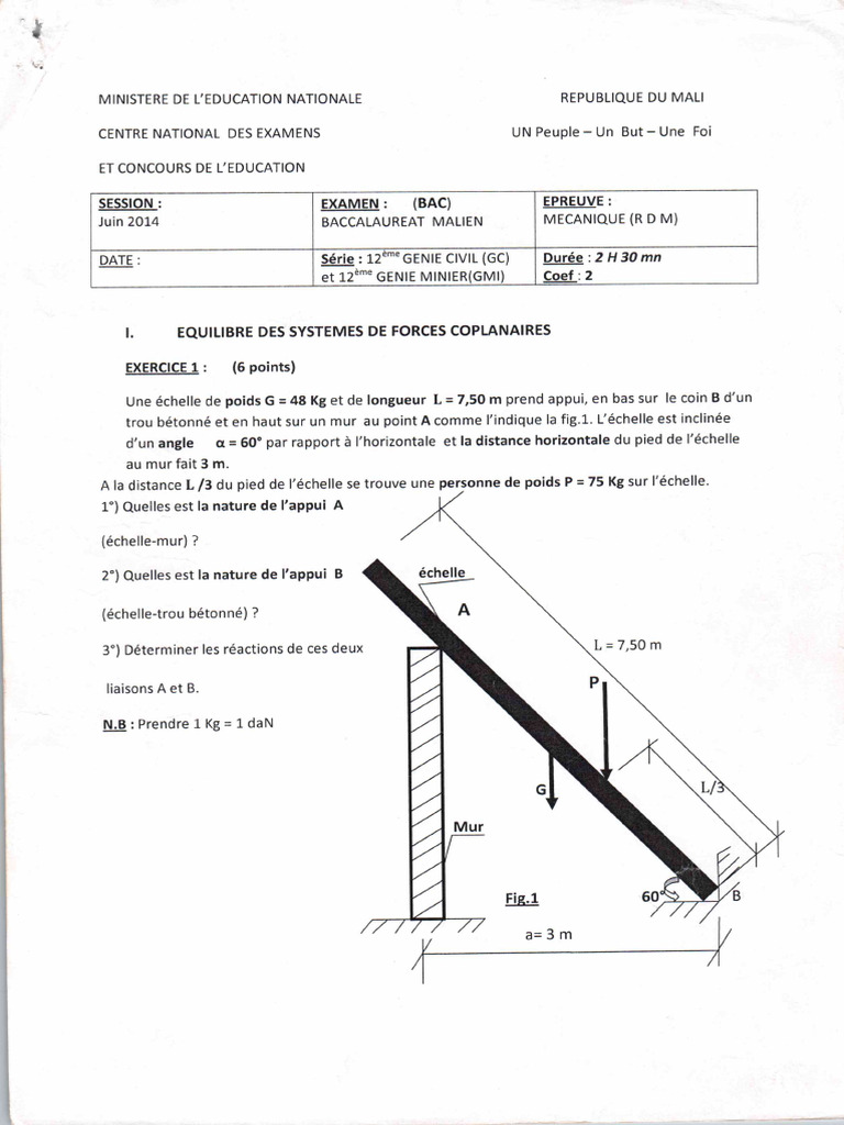 BAC RDM 2014mali | PDF