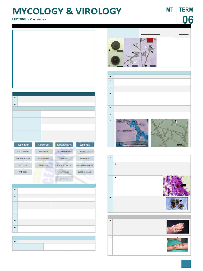 MYCOVIRO - MT 114 - Lecture 5 - Subcutaneous Mycoses | PDF | Fungus | Medical Specialties