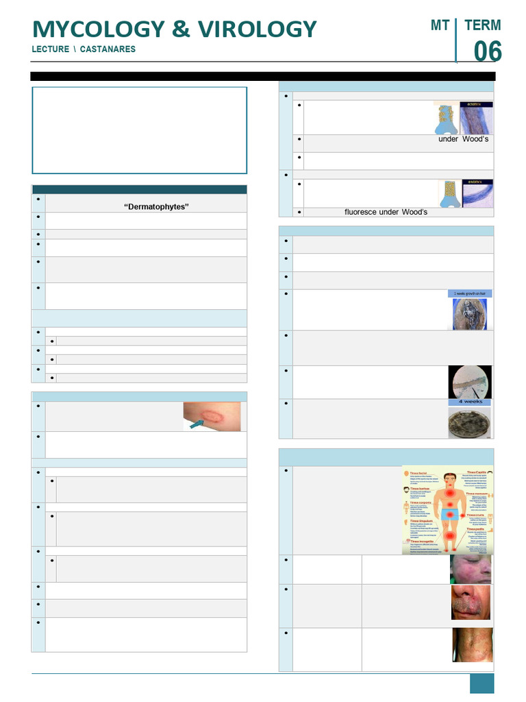 MYCOVIRO - MT 114 - Lecture 4 - Superficial and Cutaneous Mycosis | PDF | Mycology | Fungus