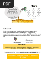 Acgih 2024 TLV Book 1 75.en - Es | PDF | Higiene Ocupacional