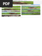 Pero Neta Wey Meme - Buscar Con Google | PDF | Comunicación humana ...