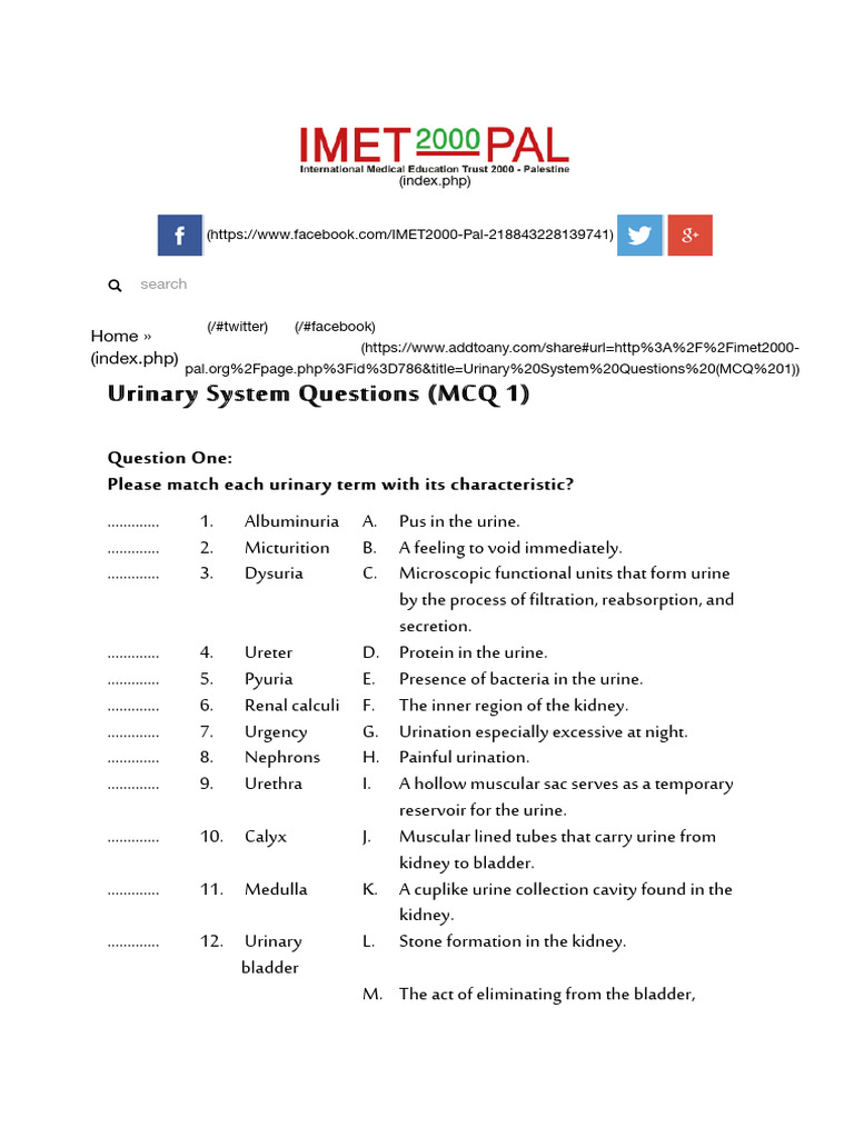 Urinary System Quiz: Question 5 Insights | PDF | Kidney | Urinary System