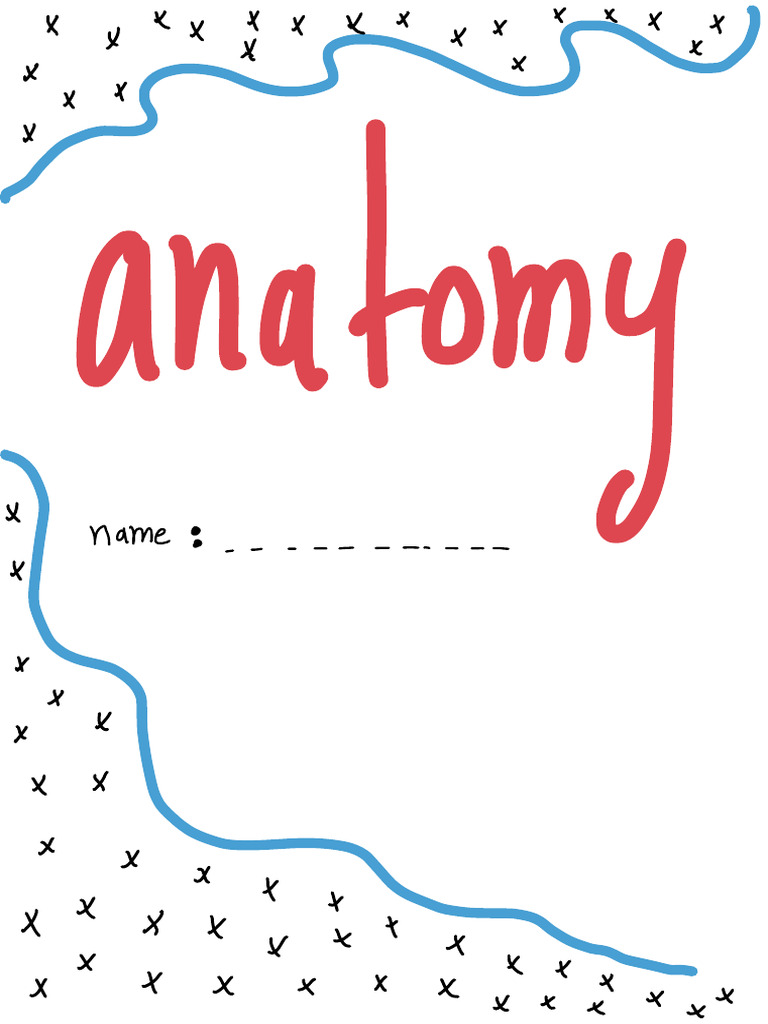 Anatomy | PDF