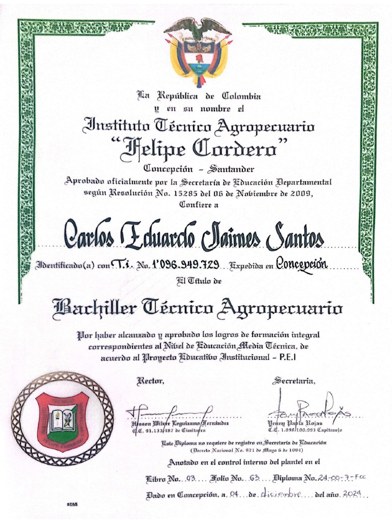 diploma bachiller | PDF