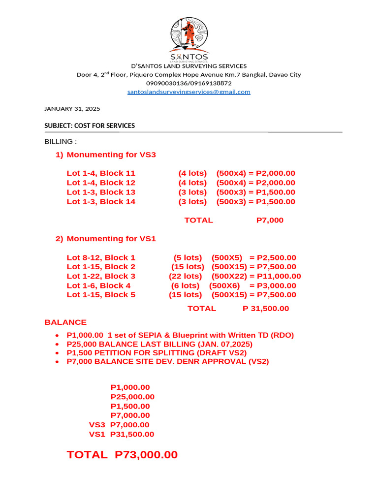 Dsantos Land Surveying Services Billing Jan.312025 | PDF