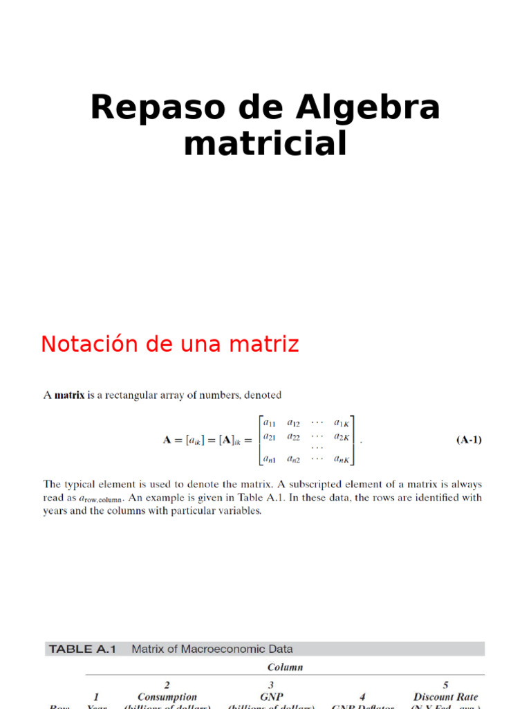 Álgebra Matricial: Guía Completa | PDF