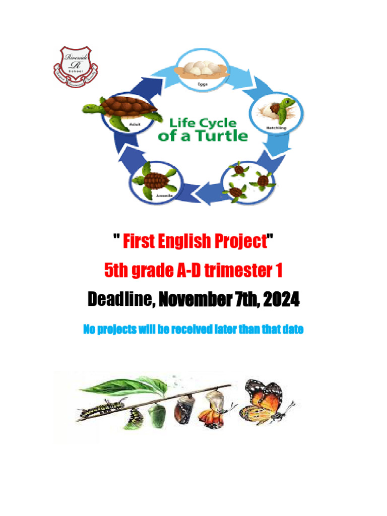 5th Grade Video Project Guidelines | PDF