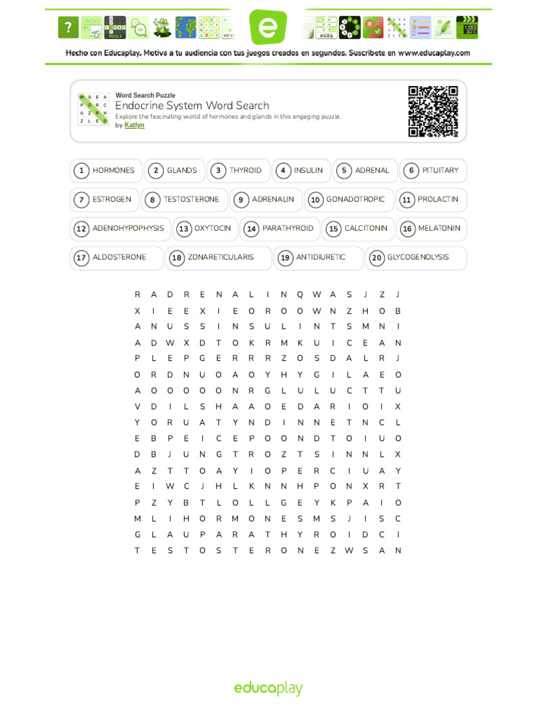 22506004-Endocrine System Word Search | PDF | Glands | Endocrine System