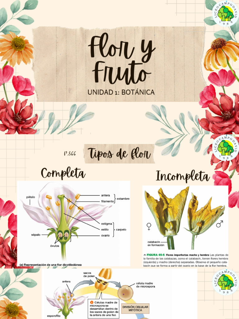 Flor y Fruto. | PDF