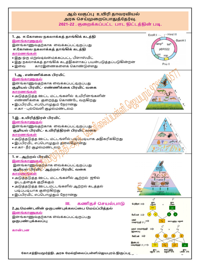12th Bio Botany - Practical Study Material 2021-22 - Tamil Medium PDF Download | PDF | Languages ...