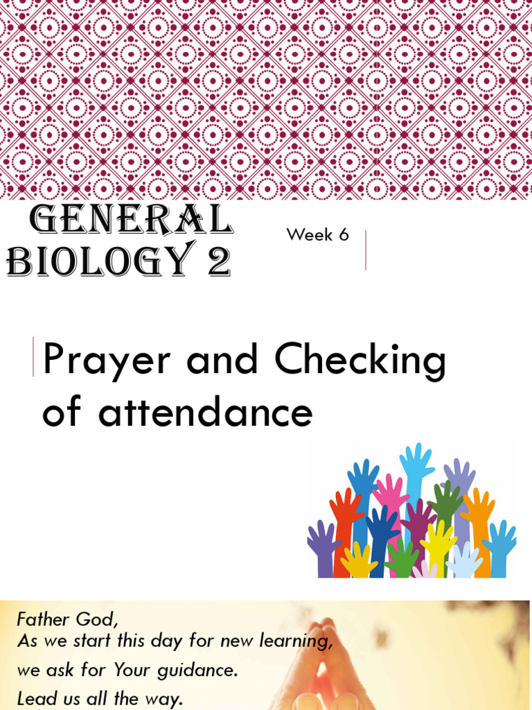 5.-Bases-of-Biological Classification | PDF | Taxonomy (Biology) | Organisms