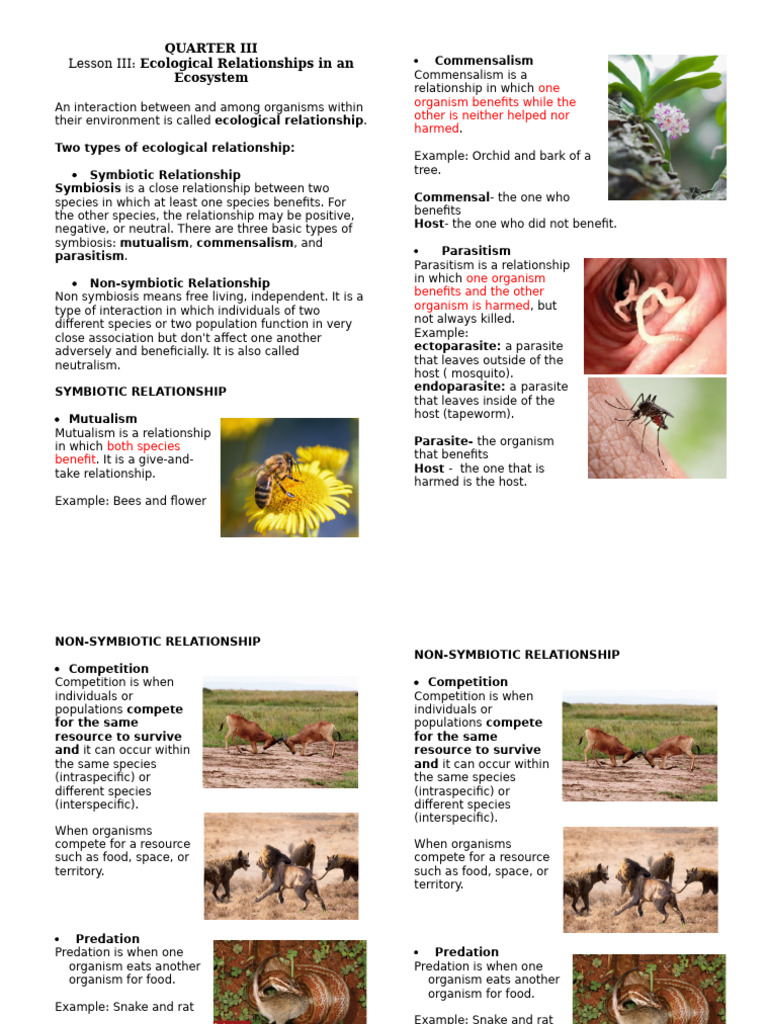 Ecological relationship | PDF | Symbiosis | Parasitism