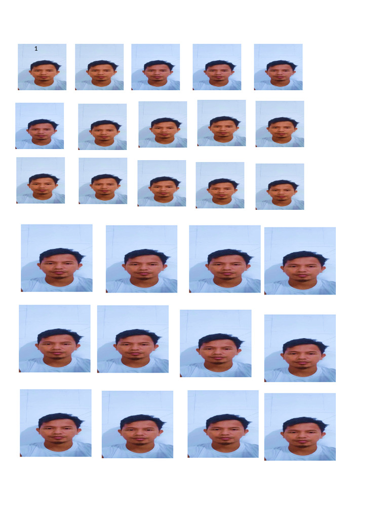 Pic Gdoy | PDF