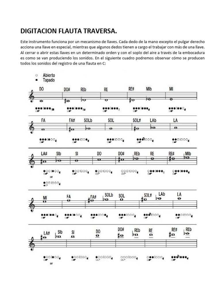 Digitacion - Notacion Musical. Flauta Traversa. | PDF