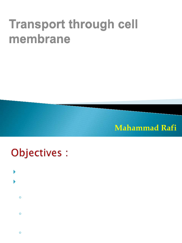 11318_rafi.Transport | PDF | Cell Membrane | Diffusion