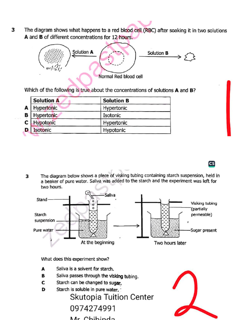 BIO- OSMOSIS, DIFFUSION, ACTIVE TRANS MCQ's | PDF