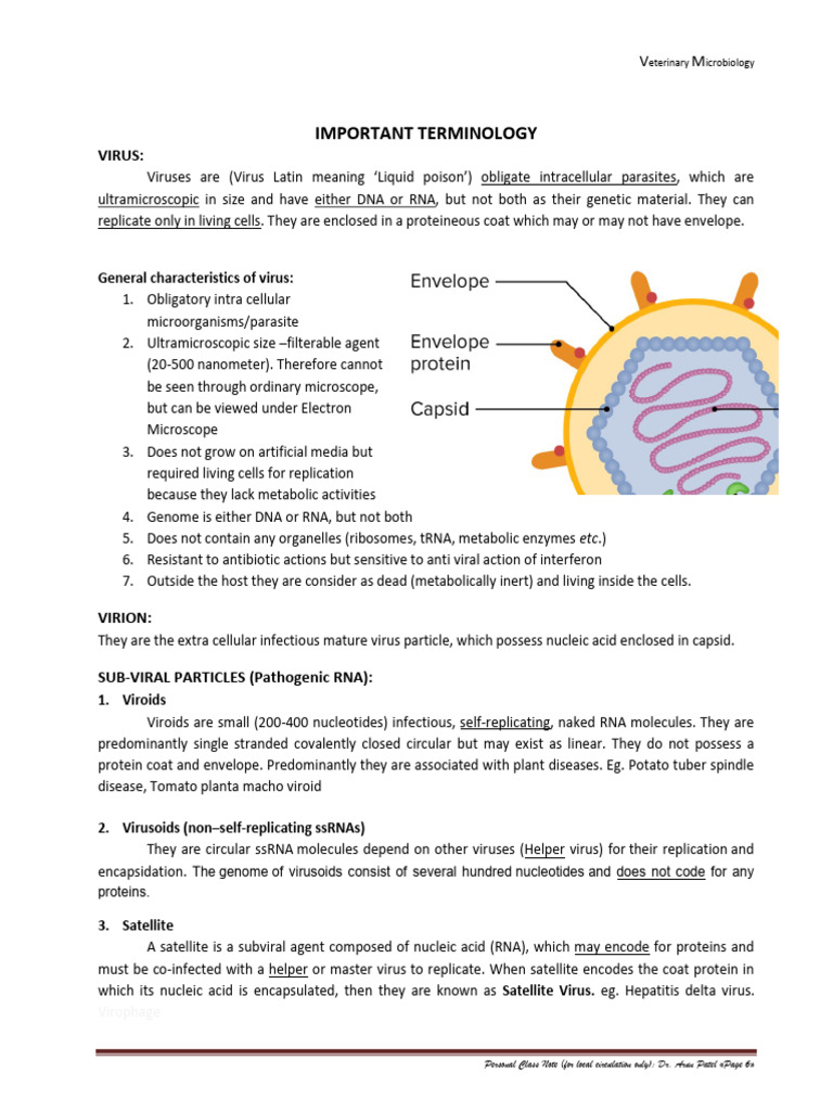 3. Introduction to Viruses | PDF | Virus | Organisms