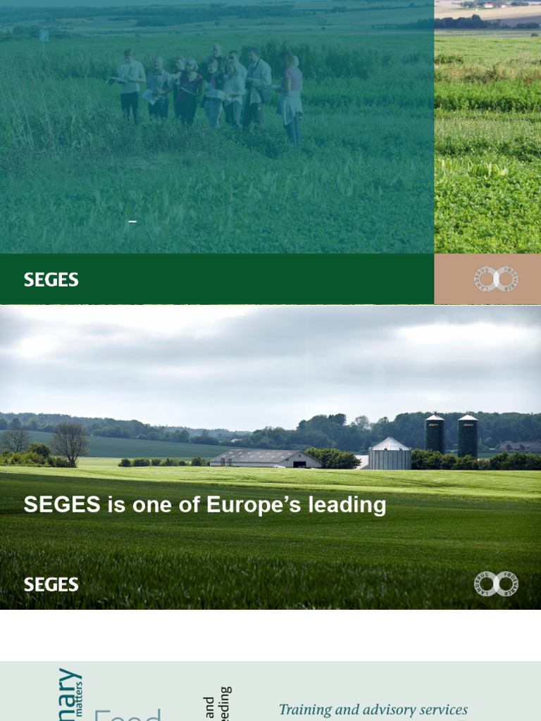 Protein Feed From Clover Grass For Pigs AGROMENIA | PDF | Organic ...