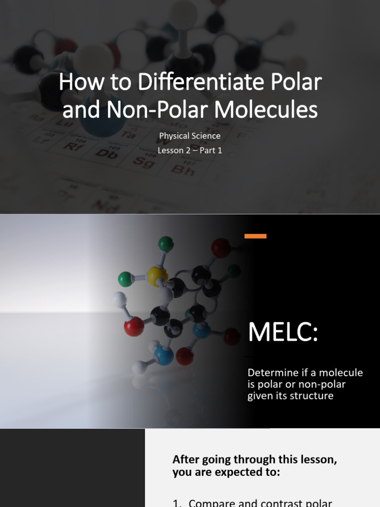 Lesson 2 Part 1 Home Based Activity | PDF