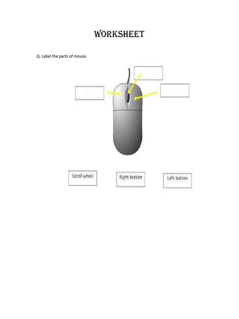 Parts of Mouse | PDF