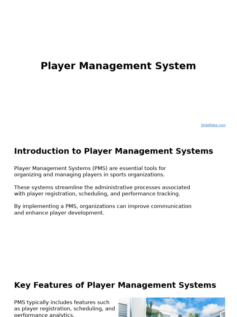 Player Management System | PDF | Analytics | Information Technology ...