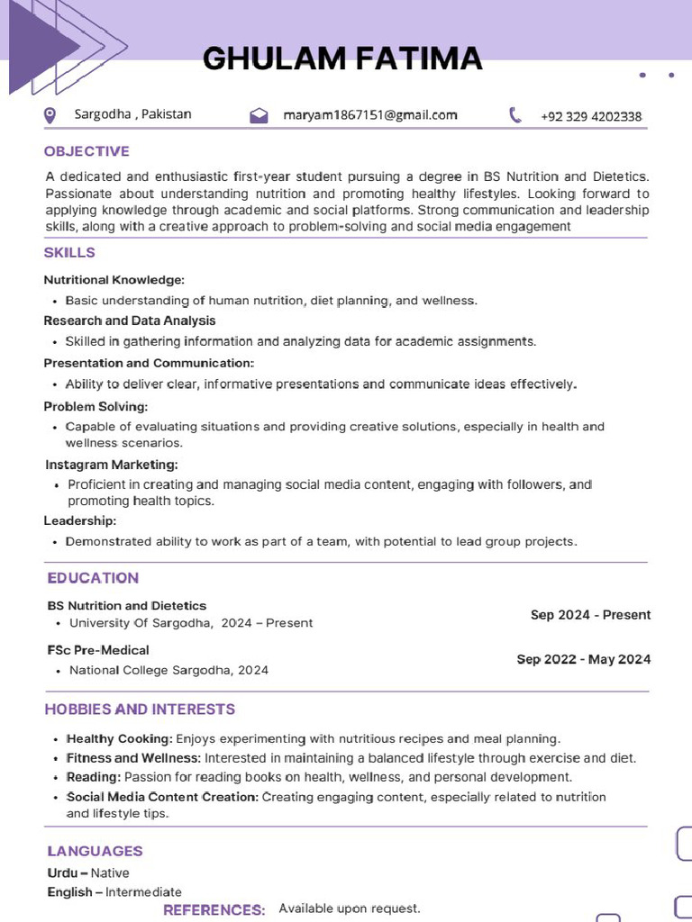 Professional CV | PDF