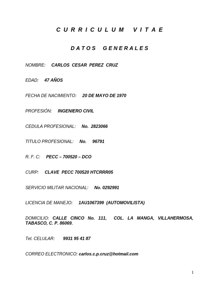 Curriculum Vitae | PDF | Ingeniería