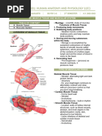 Labster 5 Post Lab | PDF | Muscle Contraction | Skeletal Muscle