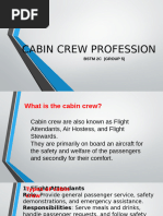 Cabin Crew Roles Responsibilities Summary | PDF