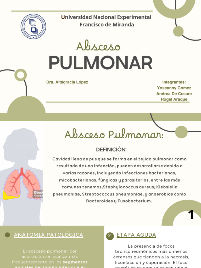 Presentación Diapositivas Propuesta de Proyecto Minimalista Simple Verde y Beige.pdf | PDF ...