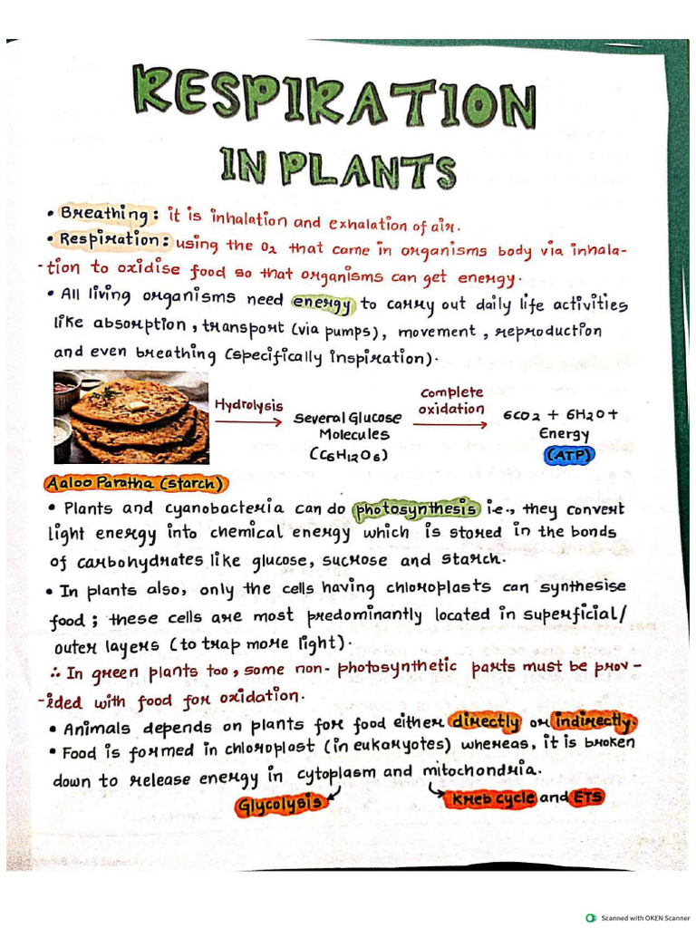 BOTANY MED EASY-2 | PDF