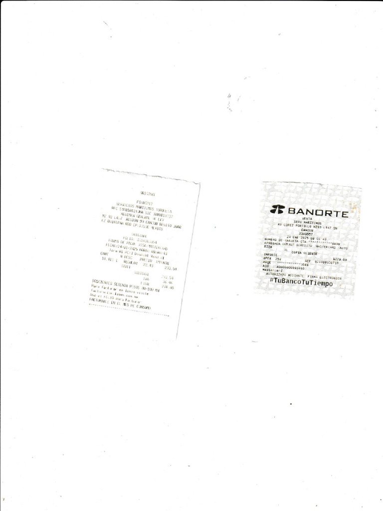 Escáner 20250125 | PDF