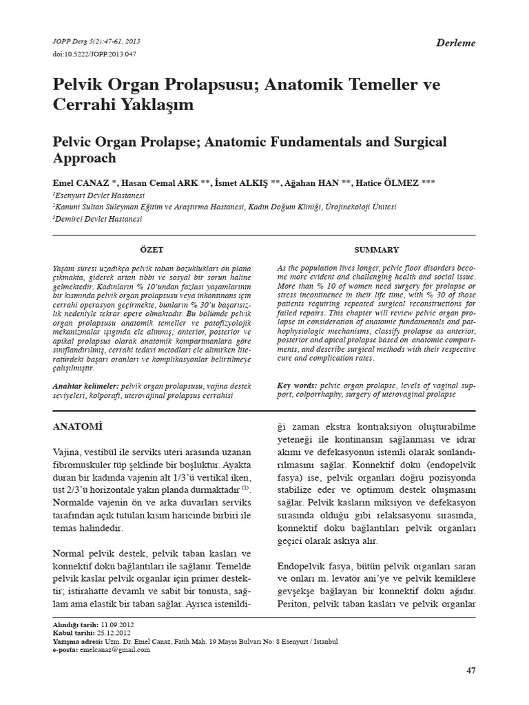 Pelvik Organ Prolapsusu Anatomik Temeller Ve Cerrahi Yaklaşım | PDF
