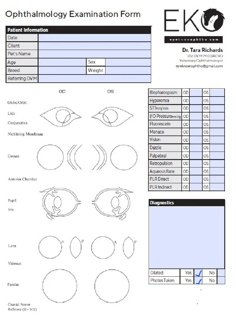Template 2 (Eye) Anusreee | PDF