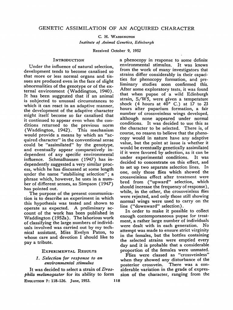 Genetic Assimilation in Drosophila | PDF | Dominance (Genetics) | Genetics