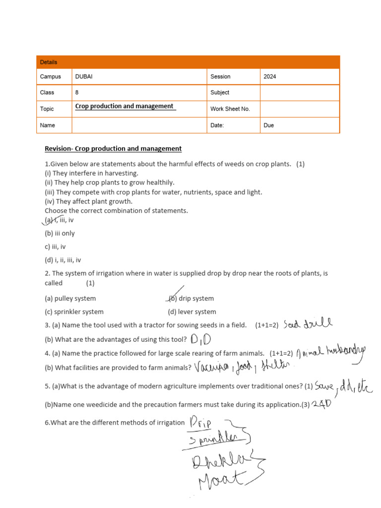 Revision worksheet | PDF